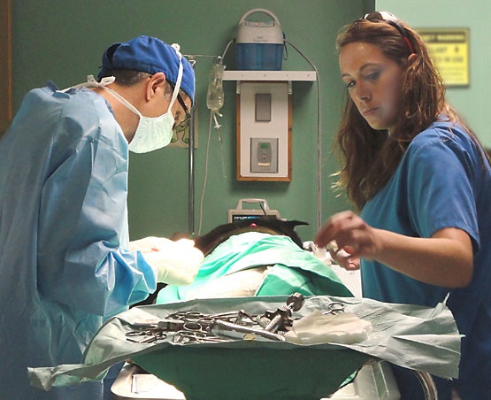 Pet Surgery In Sweetwater, TN 37874 Monroe County Animal Hospital